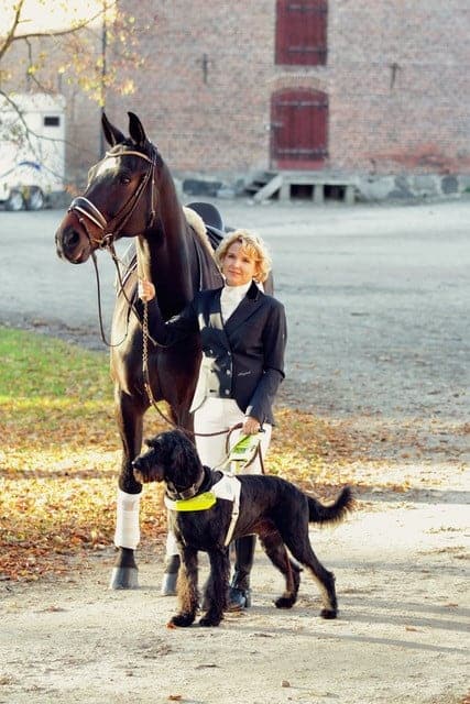 Welcoming Guide Dog Puppy ‘HOYS’ into the World - Horse of the Year Show