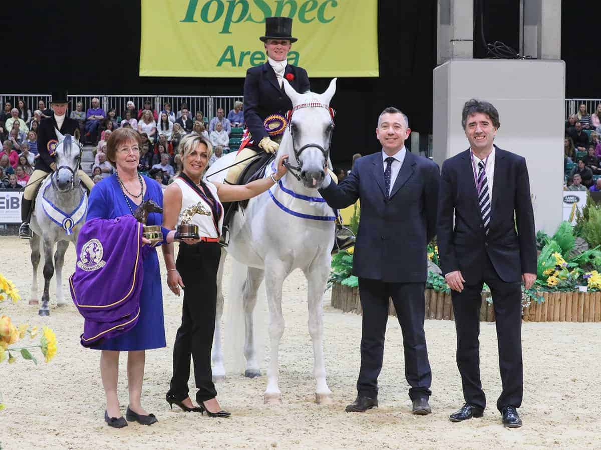 Simon Constable Equine Vets and Mr & Mrs Roberts Ridden Purebred Arab ...