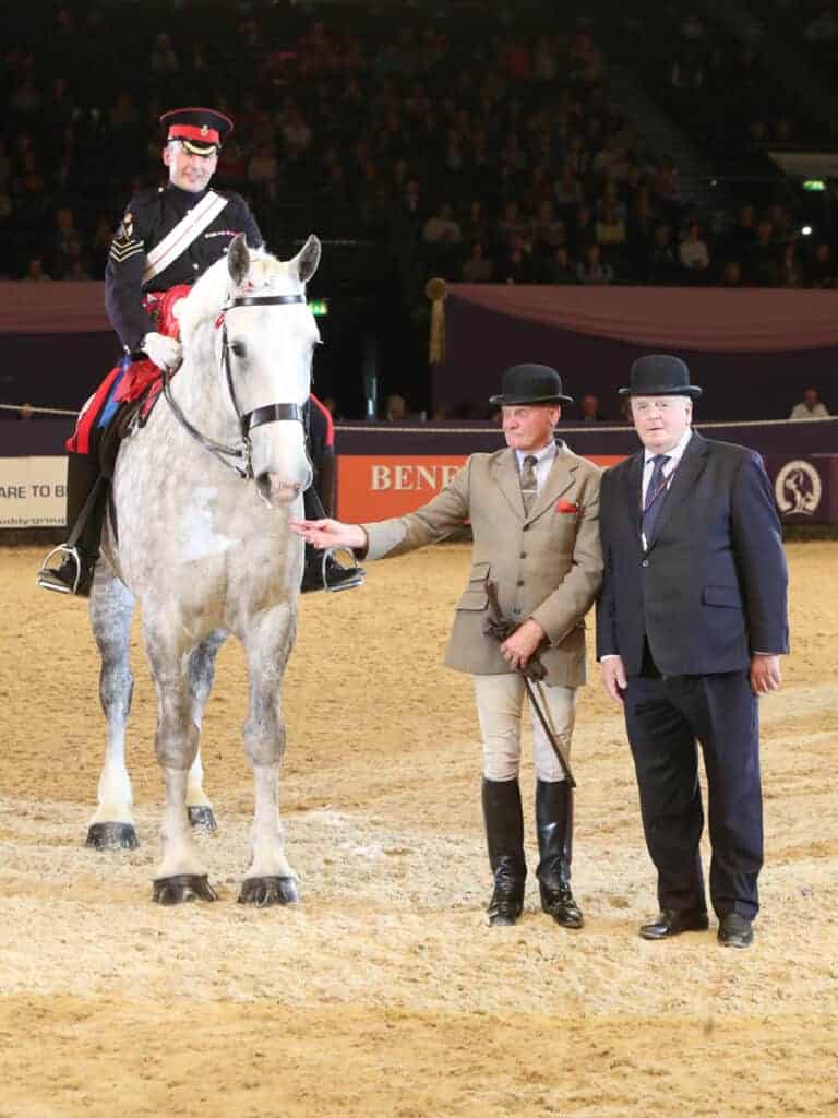 The Barber Family British Ridden Heavy Horse of the Year Championship ...