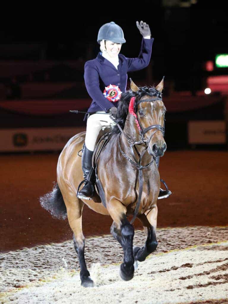 The British Show Pony Society Mountain & Moorland Working Hunter Pony ...