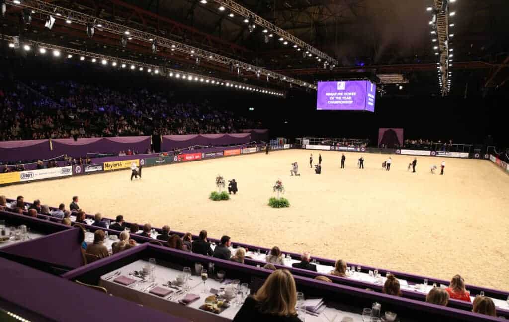 Andrews Bowen confirmed as Horse of the Year Show Official Surface Supplier until 2022 - Horse ...