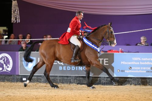 Atlantic Slim jumps to victory in the Cuddy Working Hunter of the Year ...