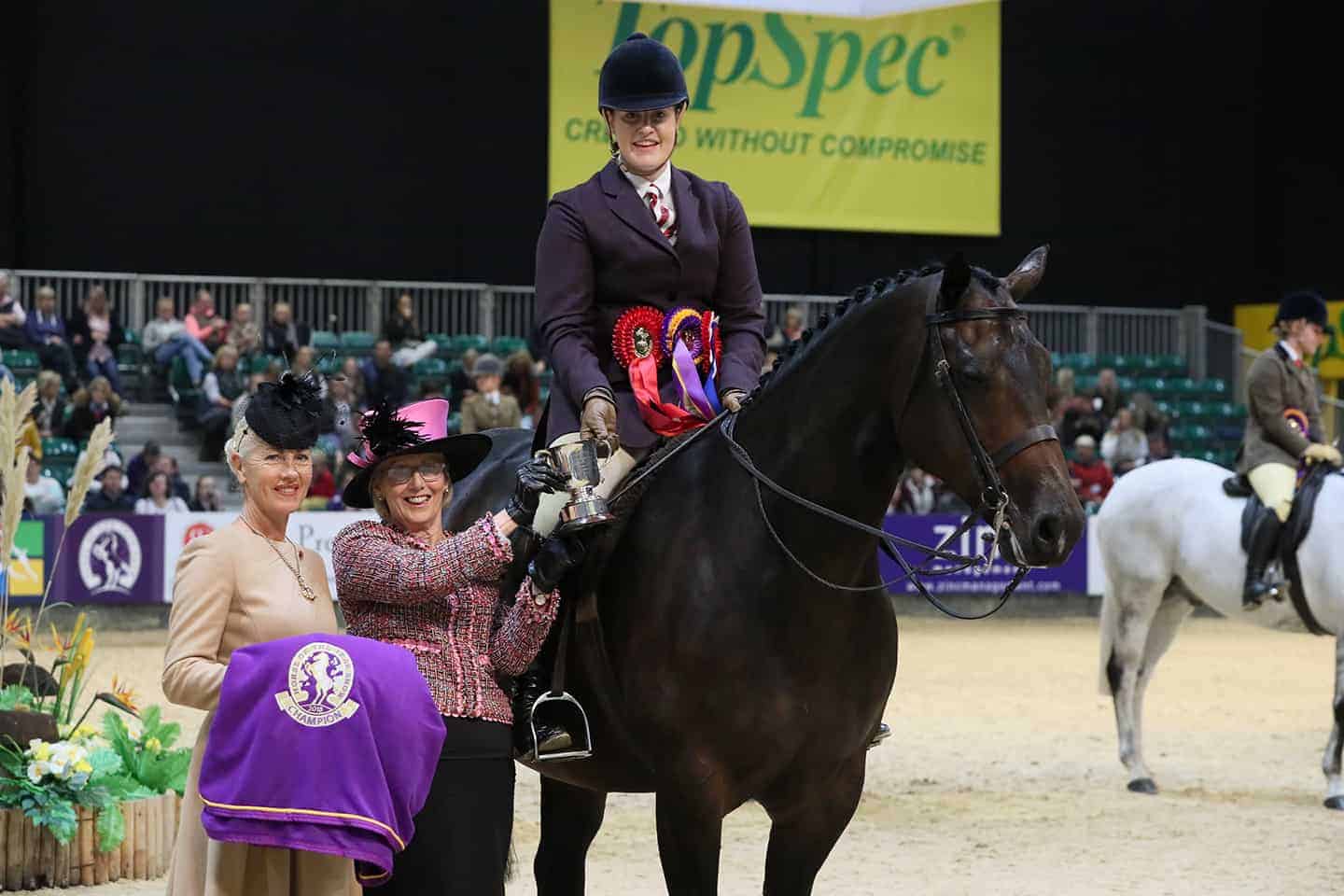 60 Minute Takeover: Intermediate Show Hunter of the Year Championship ...