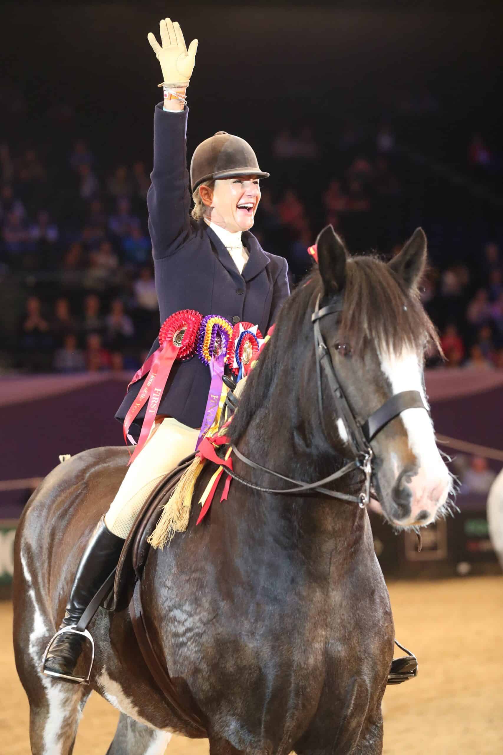 The British Ridden Heavy Horse Championship welcomes a brand new ...