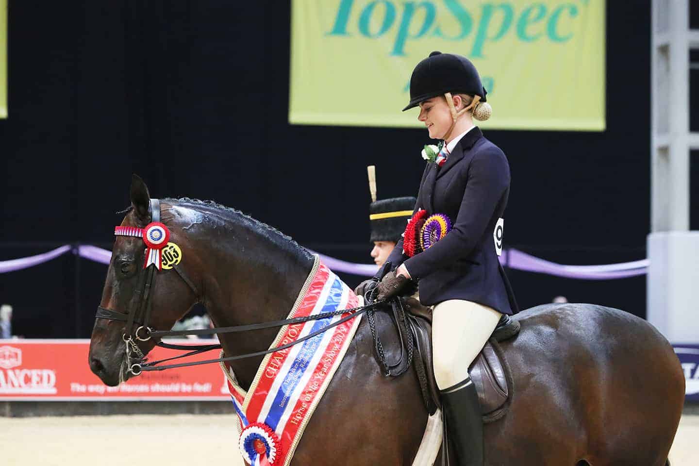 A tailor-made Champion in The Baker-Beall Family Intermediate Show ...