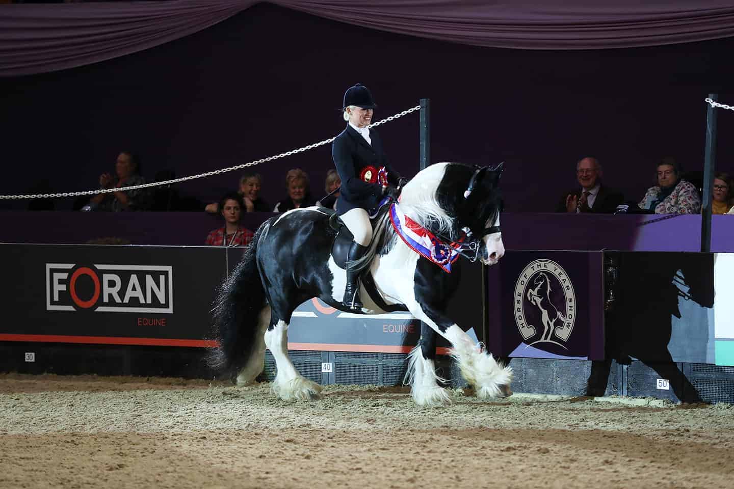 Vikki and Vicky dominate the Coloured Horse and Pony of the Year ...