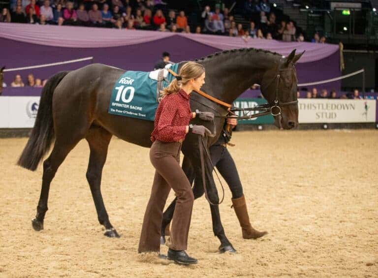 Stars of the racing world come together on the final night of Horse of ...