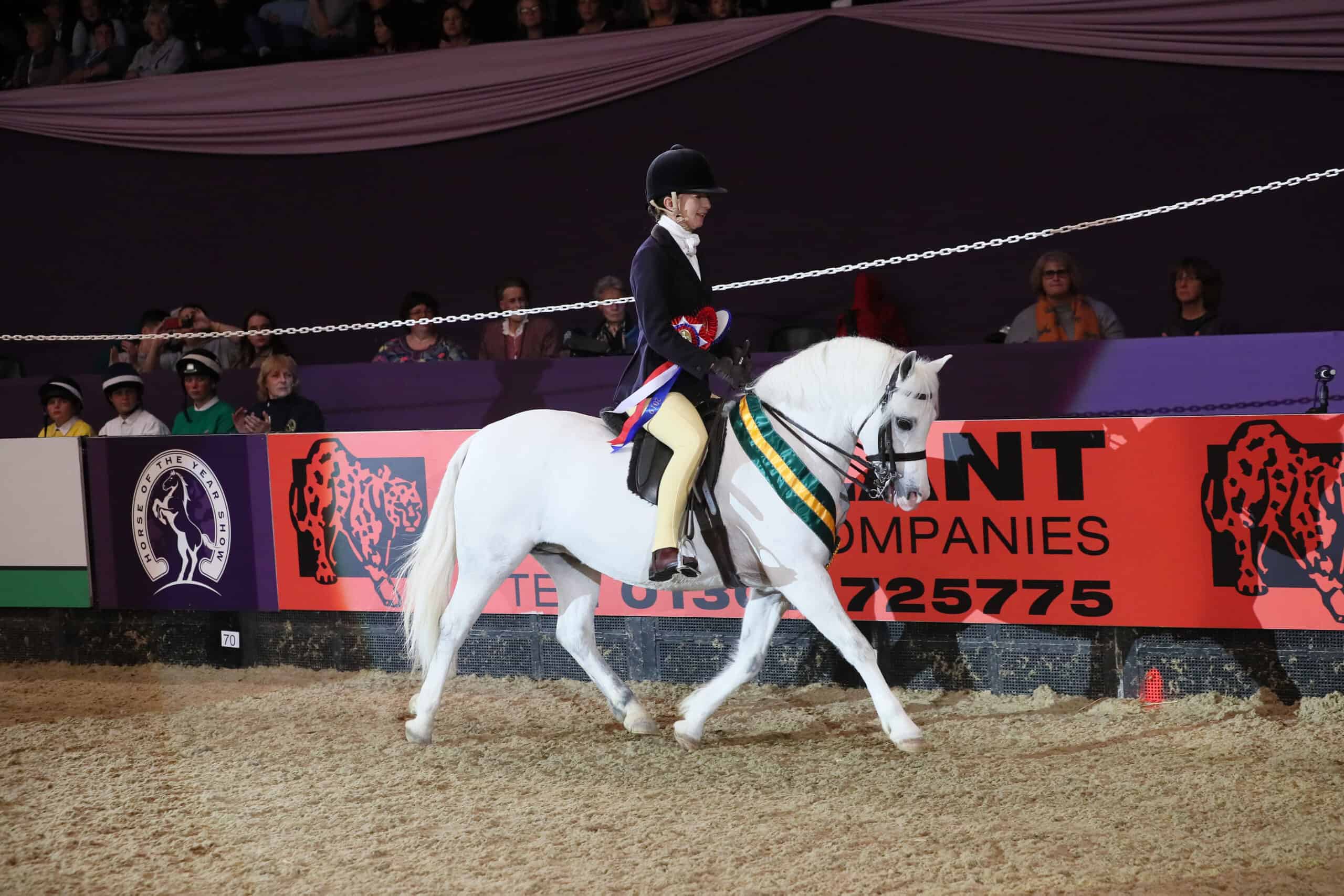 Welsh ponies reign triumphant in the National Pony Society/Baileys ...