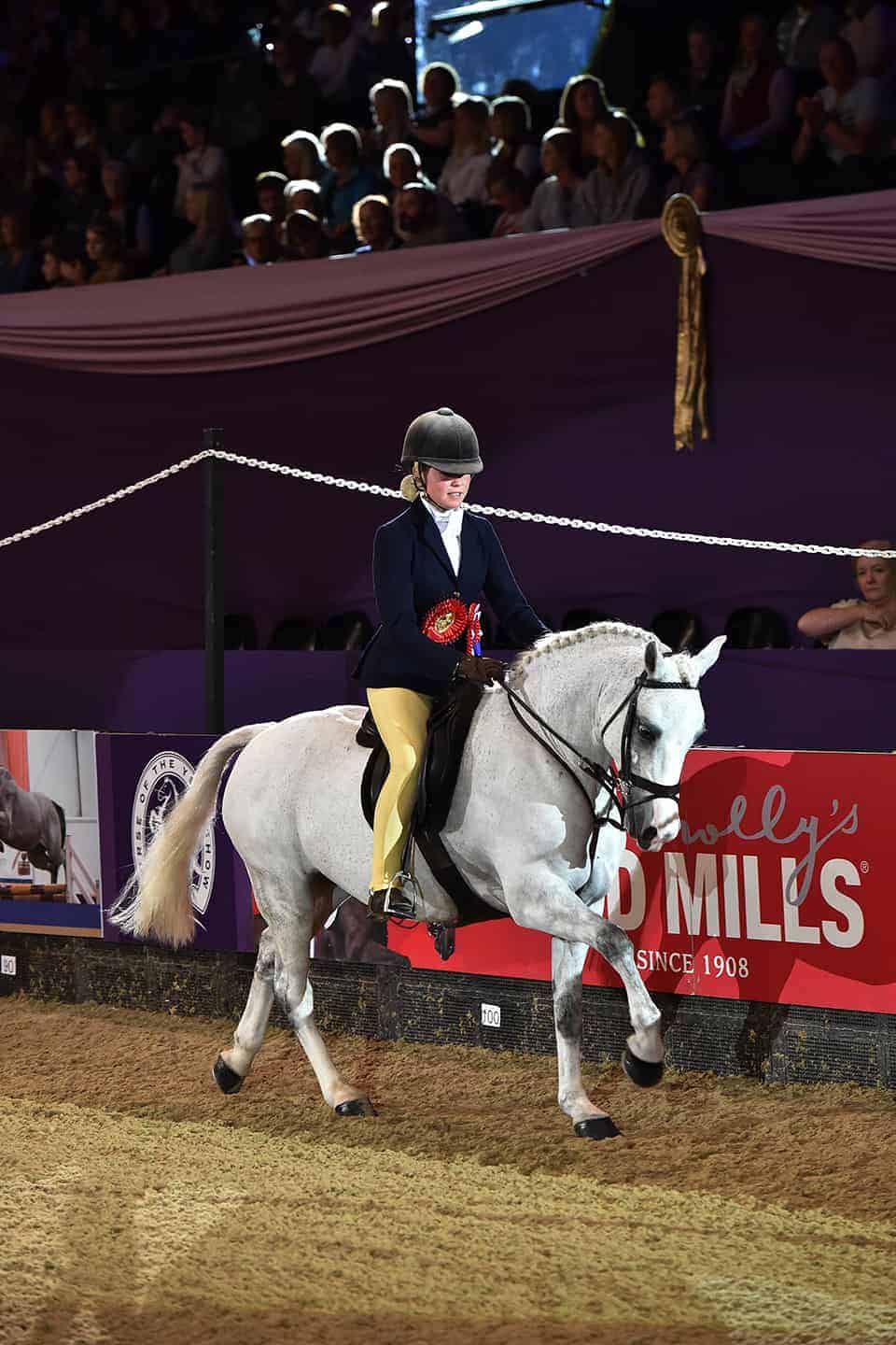 Coco Bongo is the National Pony Society/Snuggy Hoods Working Hunter ...