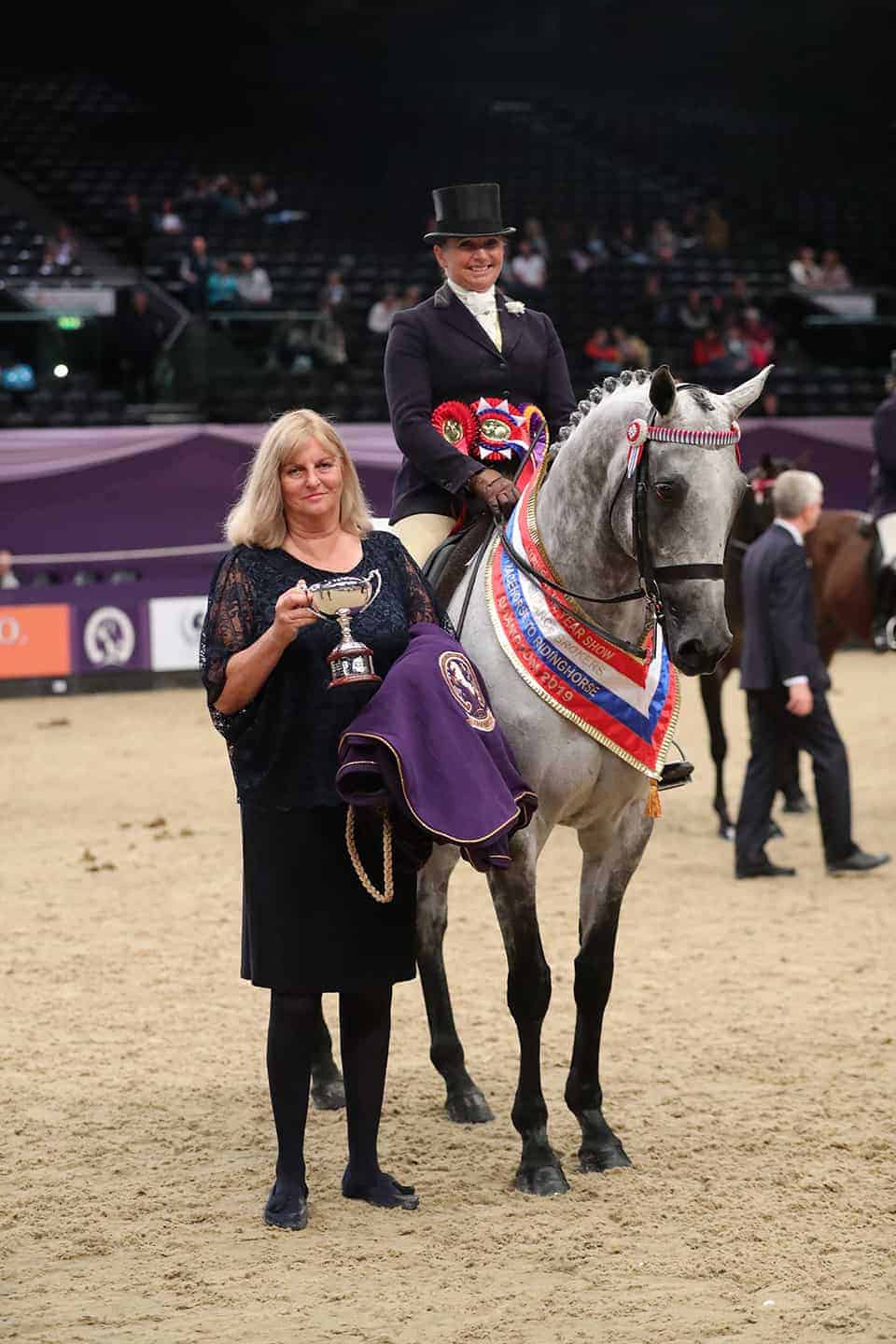 Successful ex-racehorse Grandeur claims the SEIB Racehorse to Riding ...