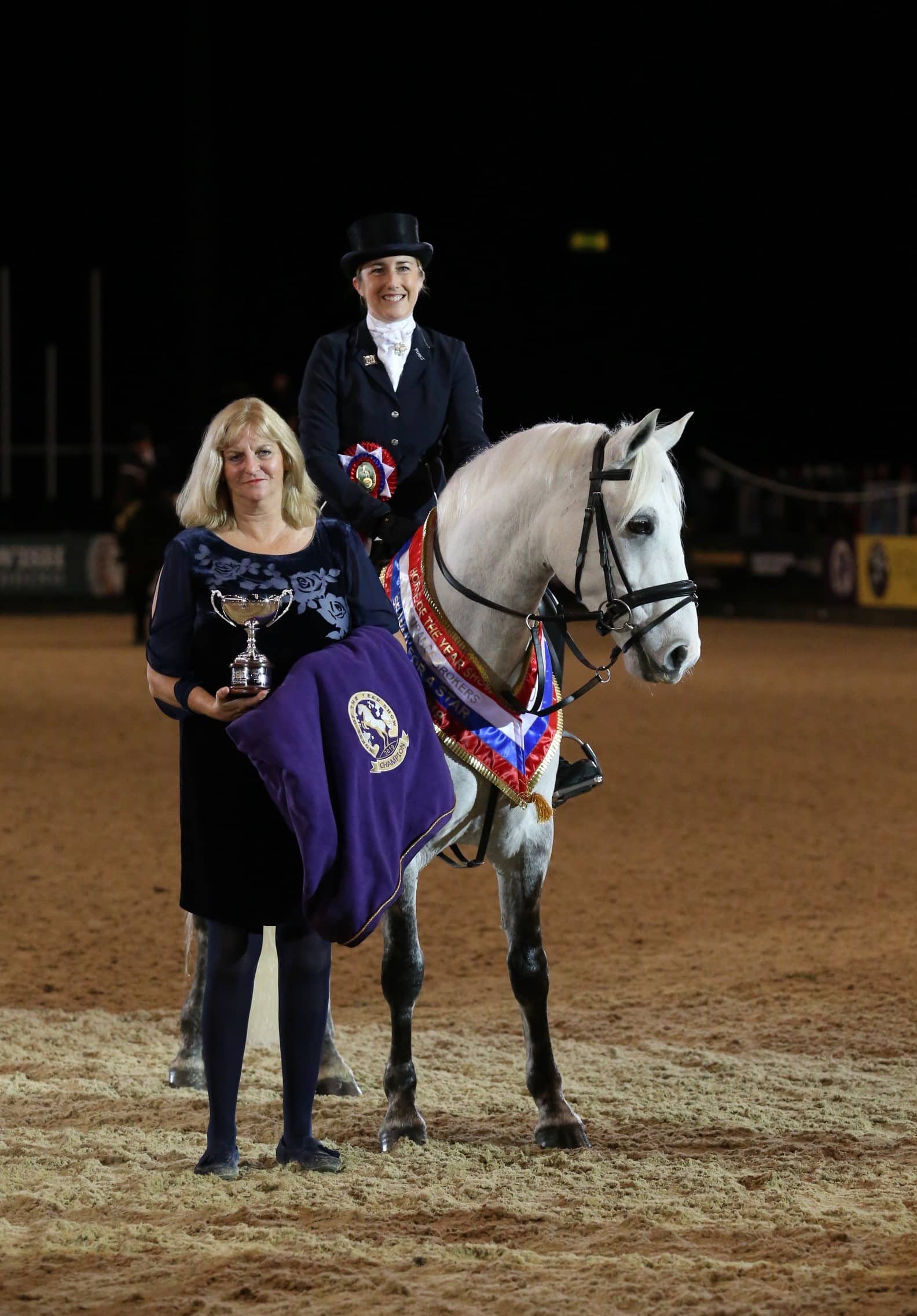 SEIB Search for a Star series seeks out future HOYS stars - Horse of ...