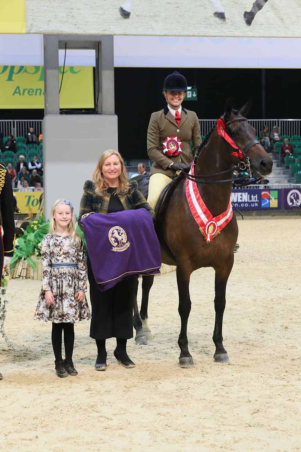 Tina brings the glamour to The Binks Family Show Hunter Pony of the ...