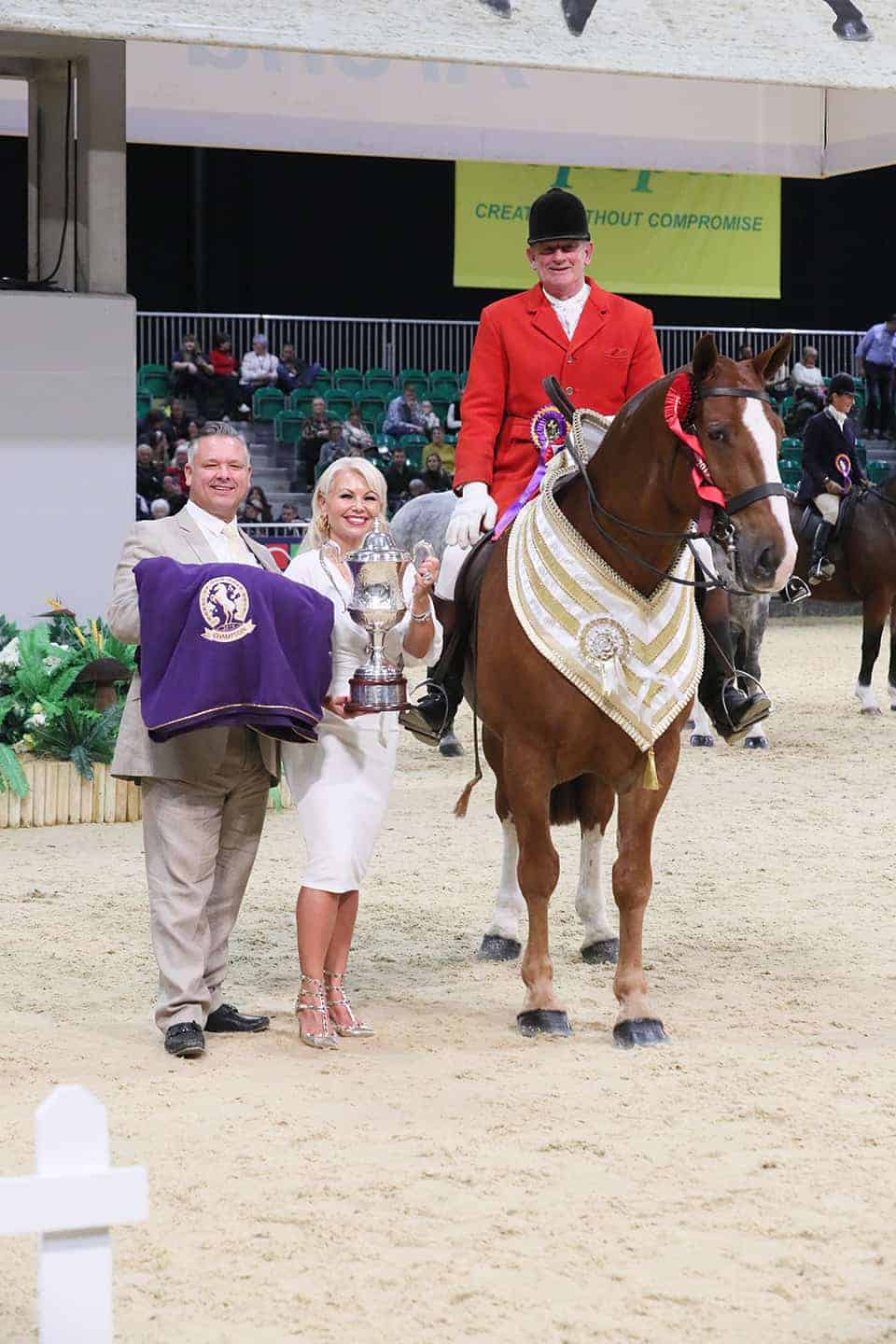 Lord Alexander is The Leeman Family Maxi Cob of the Year Champion ...