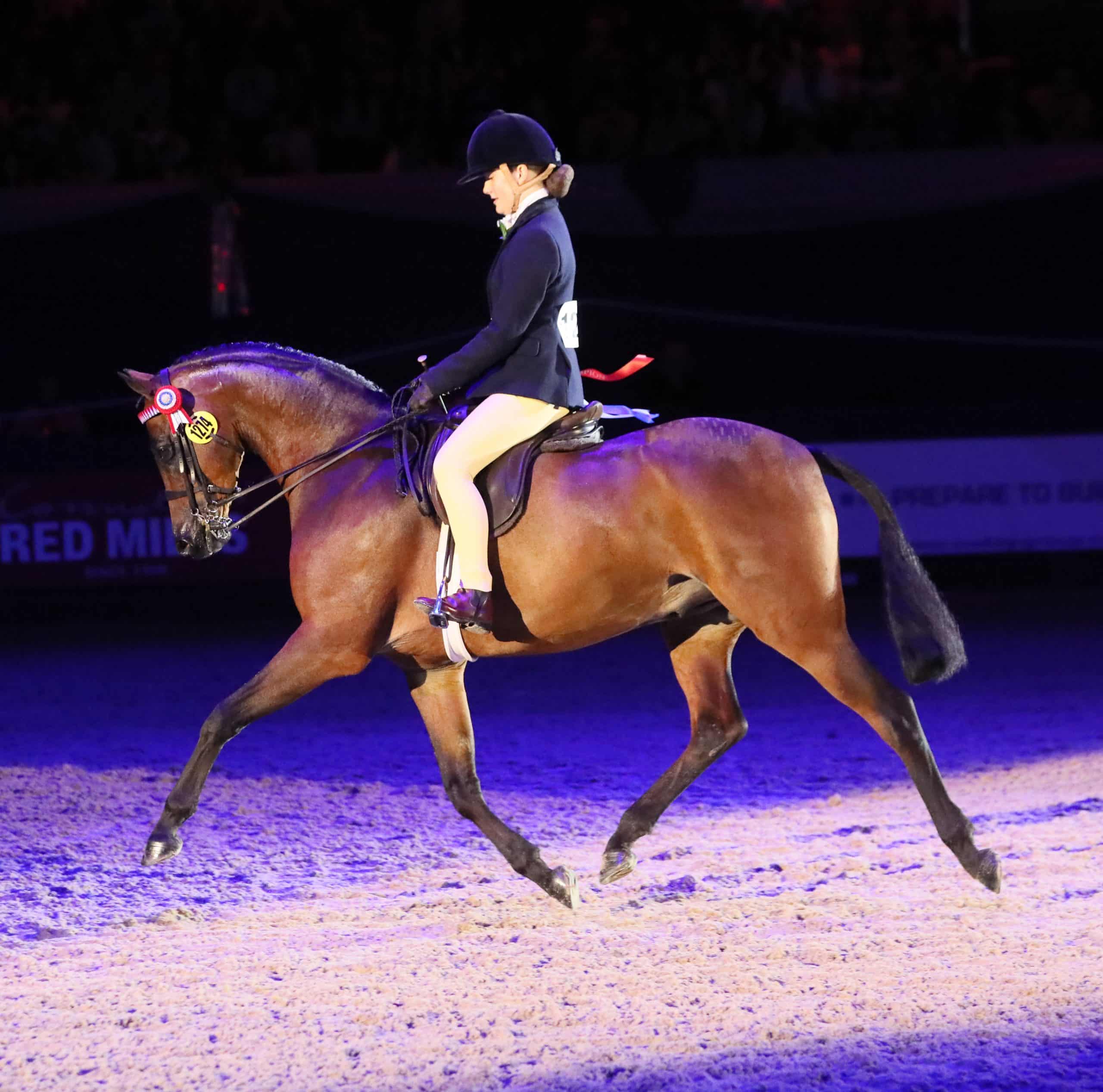 British Show Pony Society returns for HOYS 2020 - Horse of the Year Show