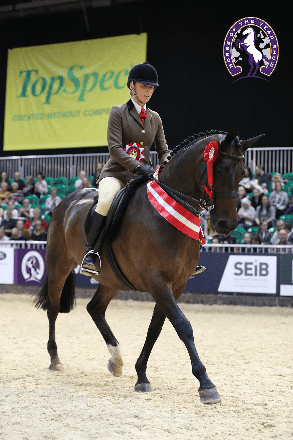 Binks family return to support Horse of the Year Show for fourth year ...