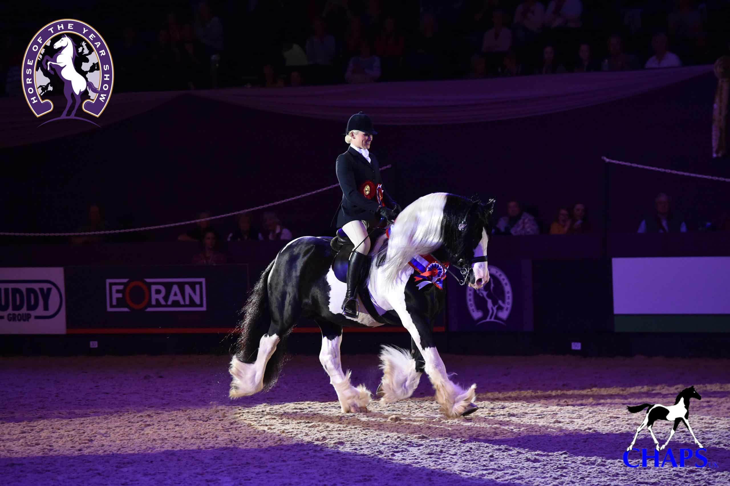 Sponsors announced for HOYS Coloured Horse and Pony Classes in 2020 ...