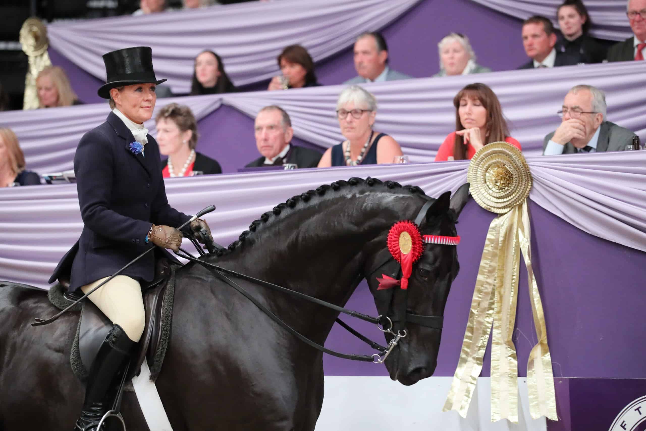 HOYS Thursday 7th Evening Showing - Horse of the Year Show