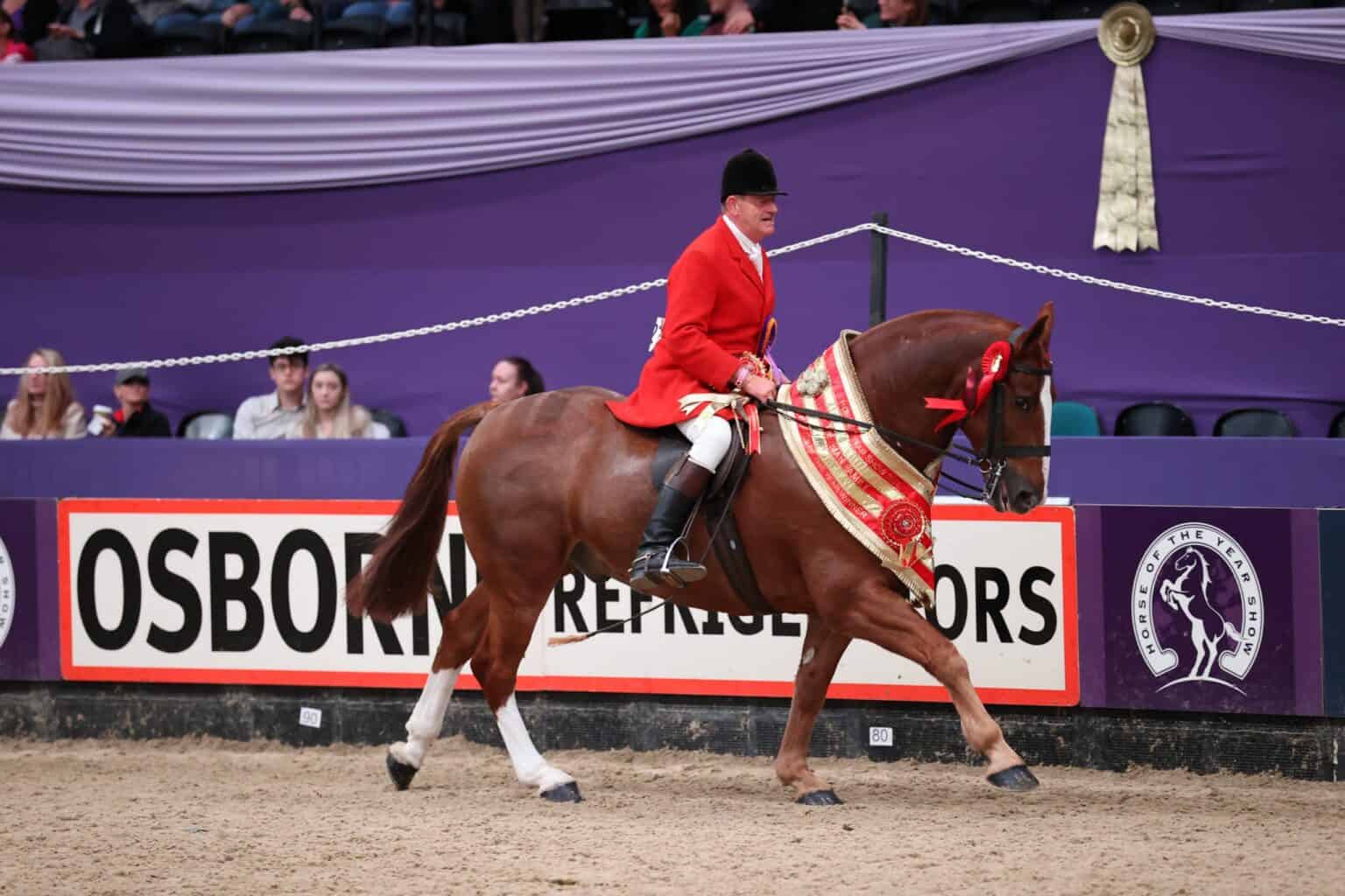 Blog – Horse of the Year Show