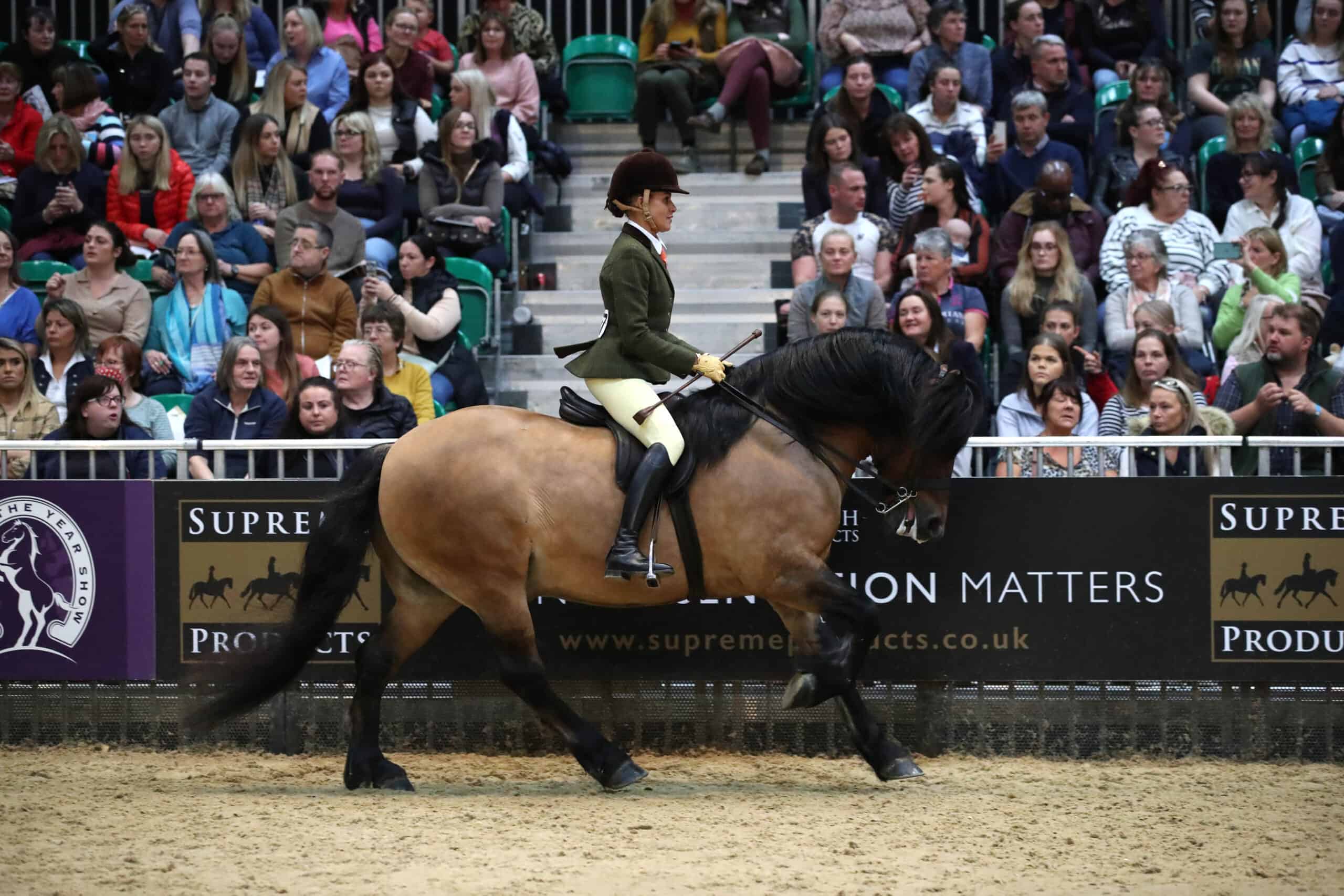 Going out on a high with a Horse of the Year Show win - Horse of the ...