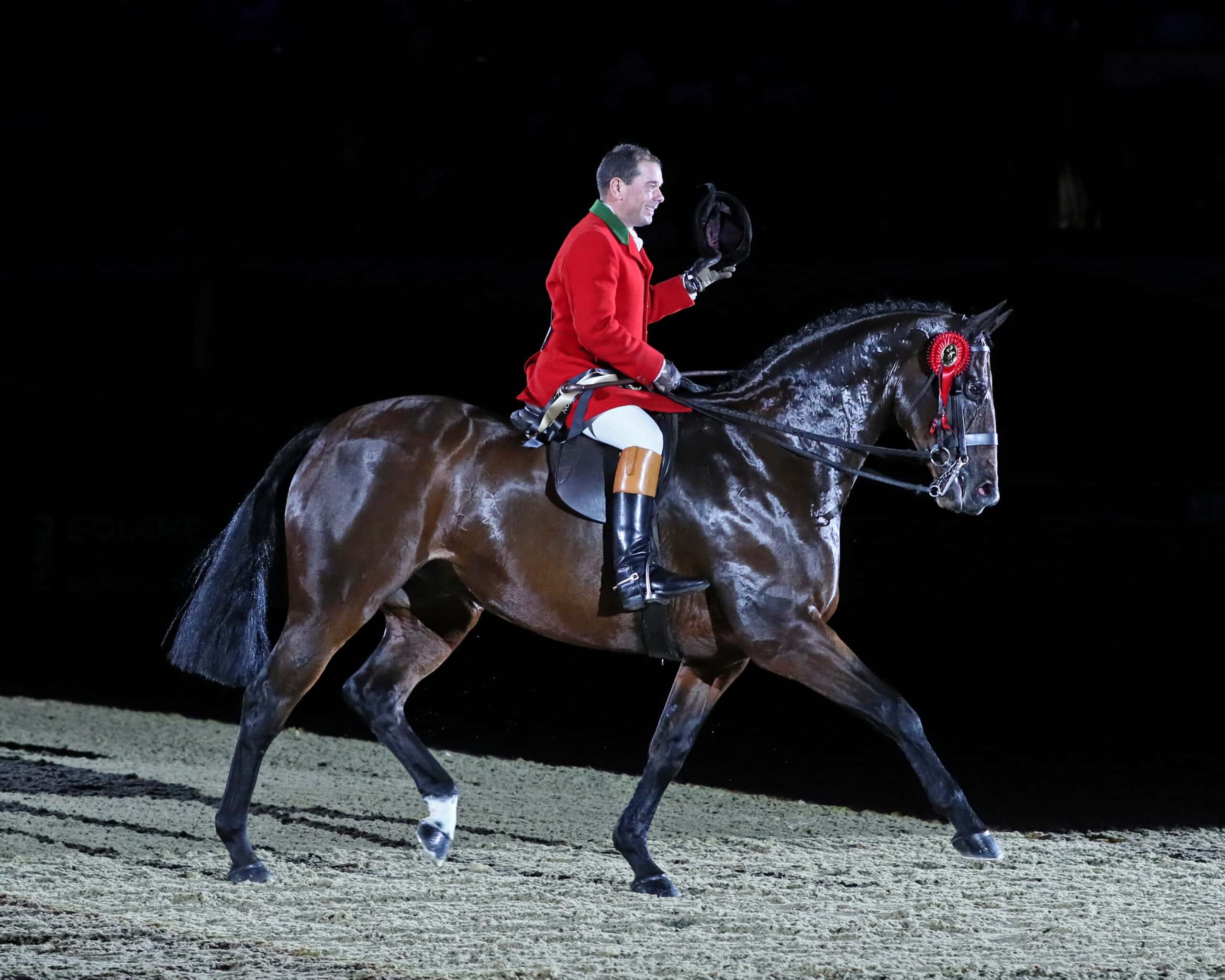 View Point makes history as the four-time winner of the Catplant Group ...