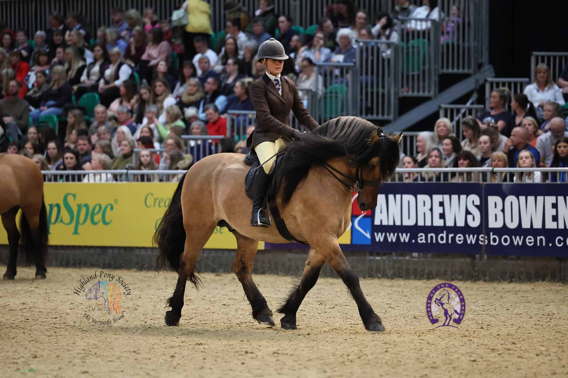 Highland Pony Society Centenary Celebration - Horse of the Year Show