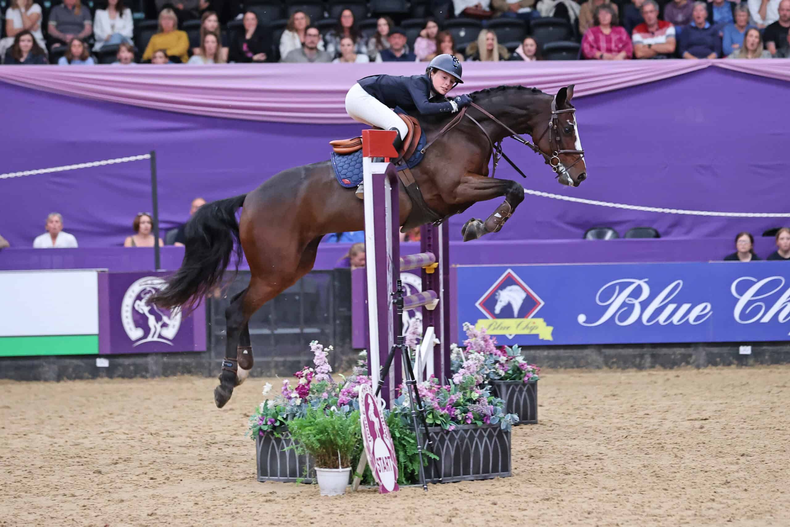 Lauren Wilkens takes the Enablelink Ltd Pony Foxhunter Championship on ...