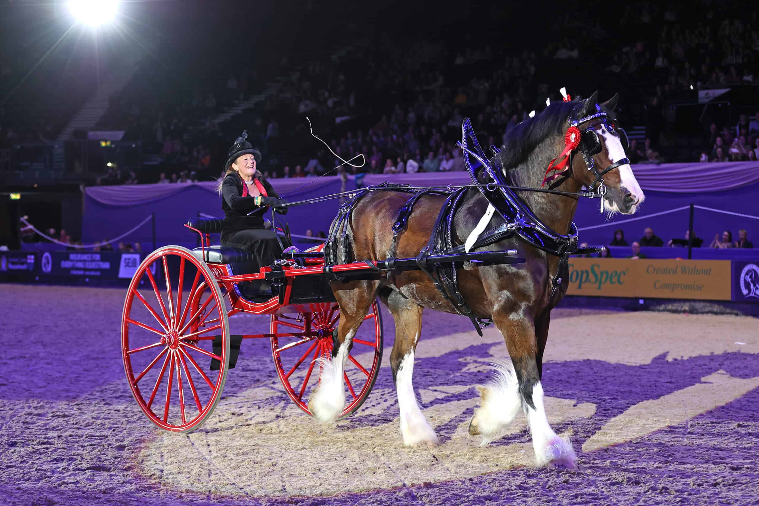 A former racehorse is victorious as the showing Championships at HOYS ...